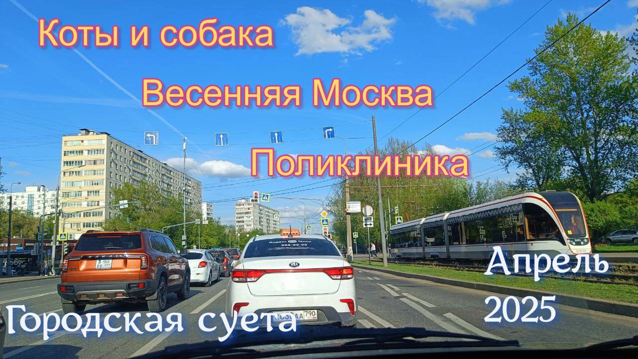 Городская суета | Весенняя Москва | Поликлиника | Котики и собака