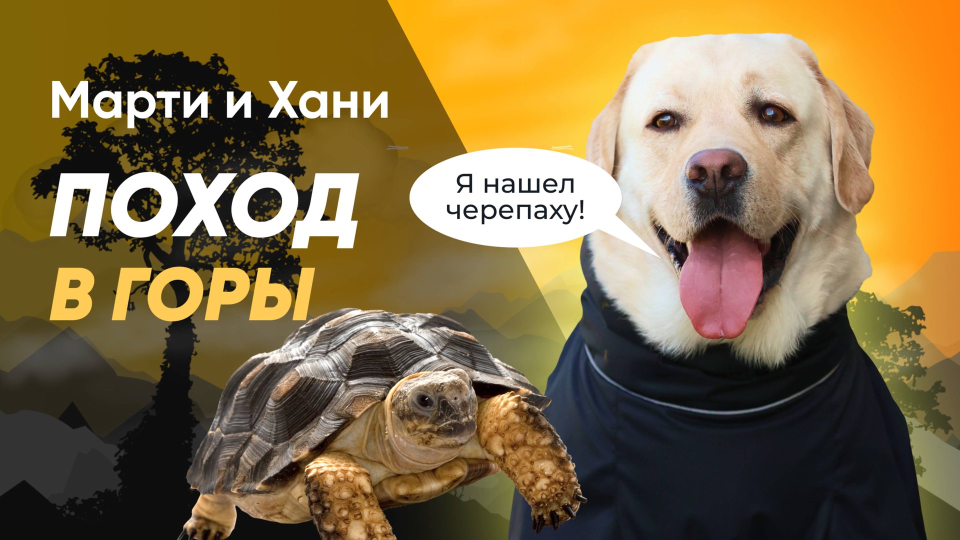 VLOG / ГУЛЯЕМ ПО ГОРАМ В ЗАПОВЕДНИКЕ СУККО / НАШЛИ ЧЕРЕПАХУ ИЗ КРАСНОЙ КНИГИ / АНАПА