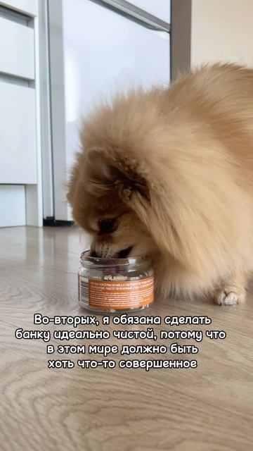 Жизнь - паштет!