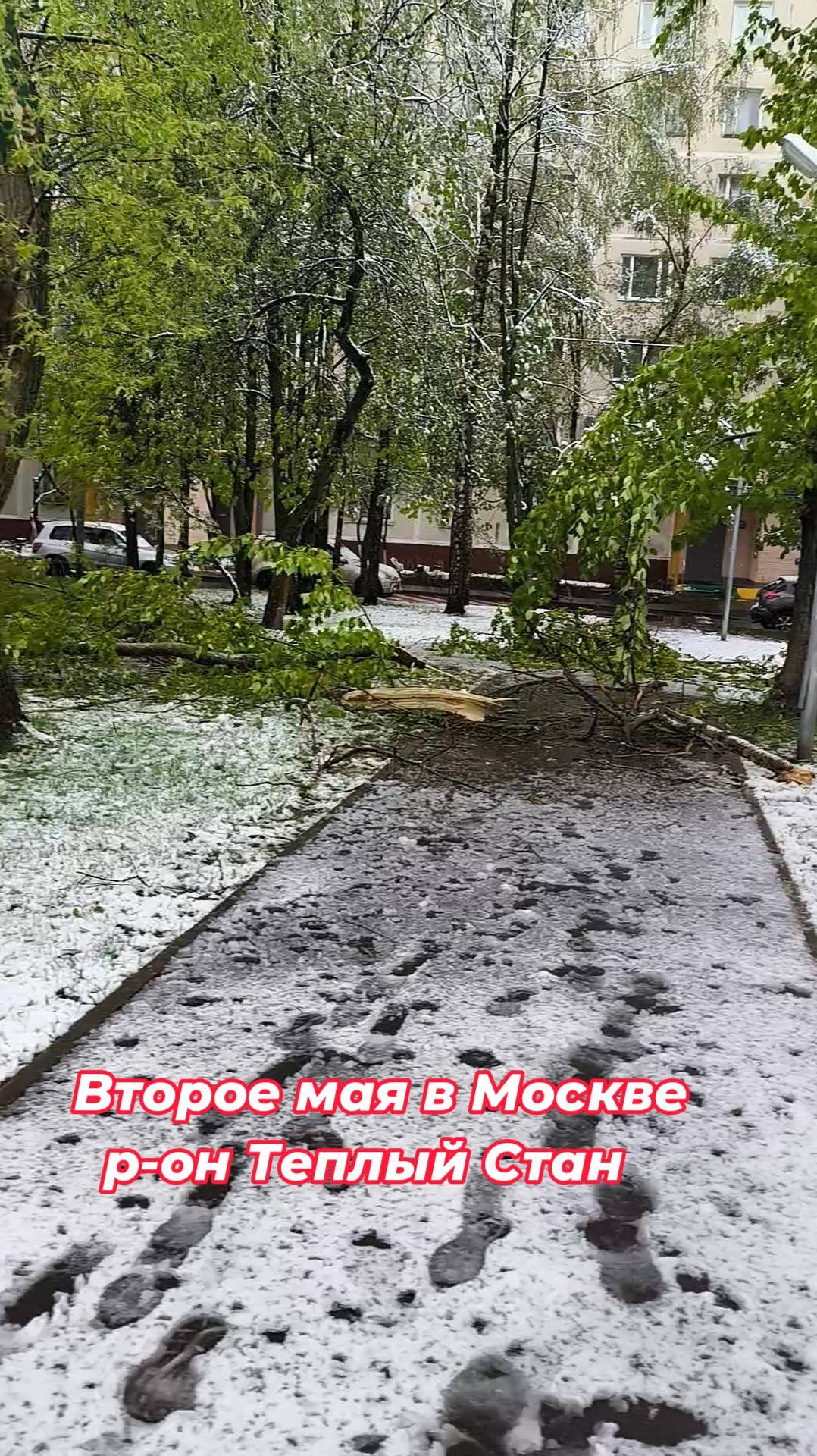 #Shorts Второе мая в Москве  р он Теплый Стан#погода#майскийснег