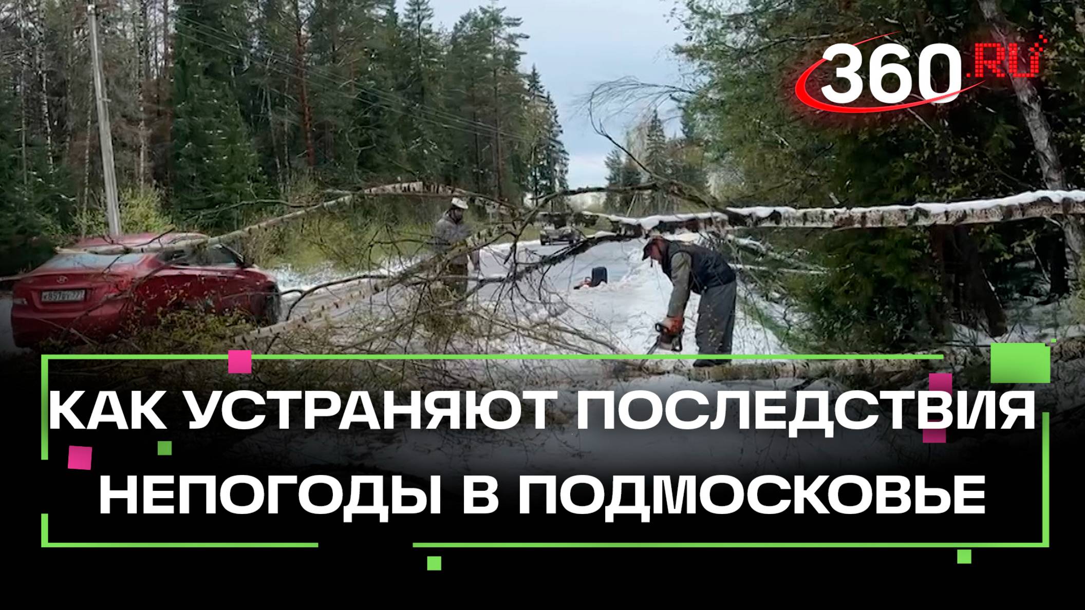 Поваленные деревья, разбитые машины. Как борются с последствиями непогоды в Подмосковье