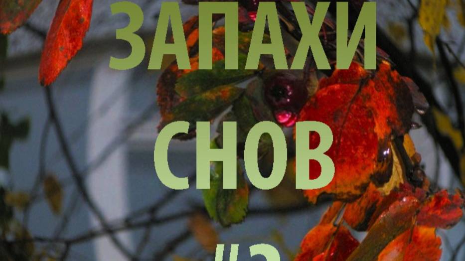 Запахи снов,3