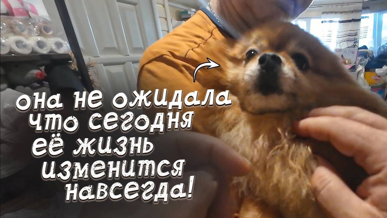 Какое счастье, что теперь она...