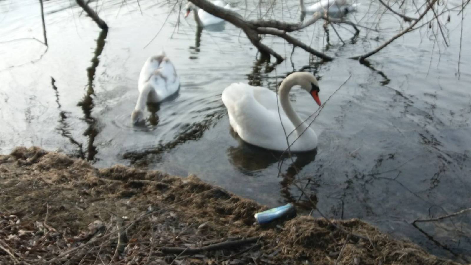 Видеозарисовка с зимнего Донецка.