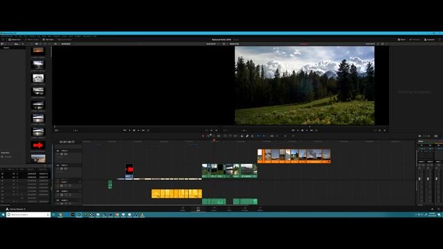 Davinci Resolve Studio - Multi GPU