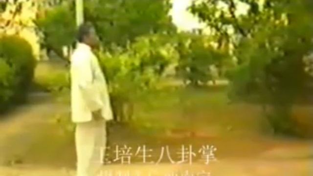 Мастер Ван Пэйшен (王培生) багуа 64 ладони