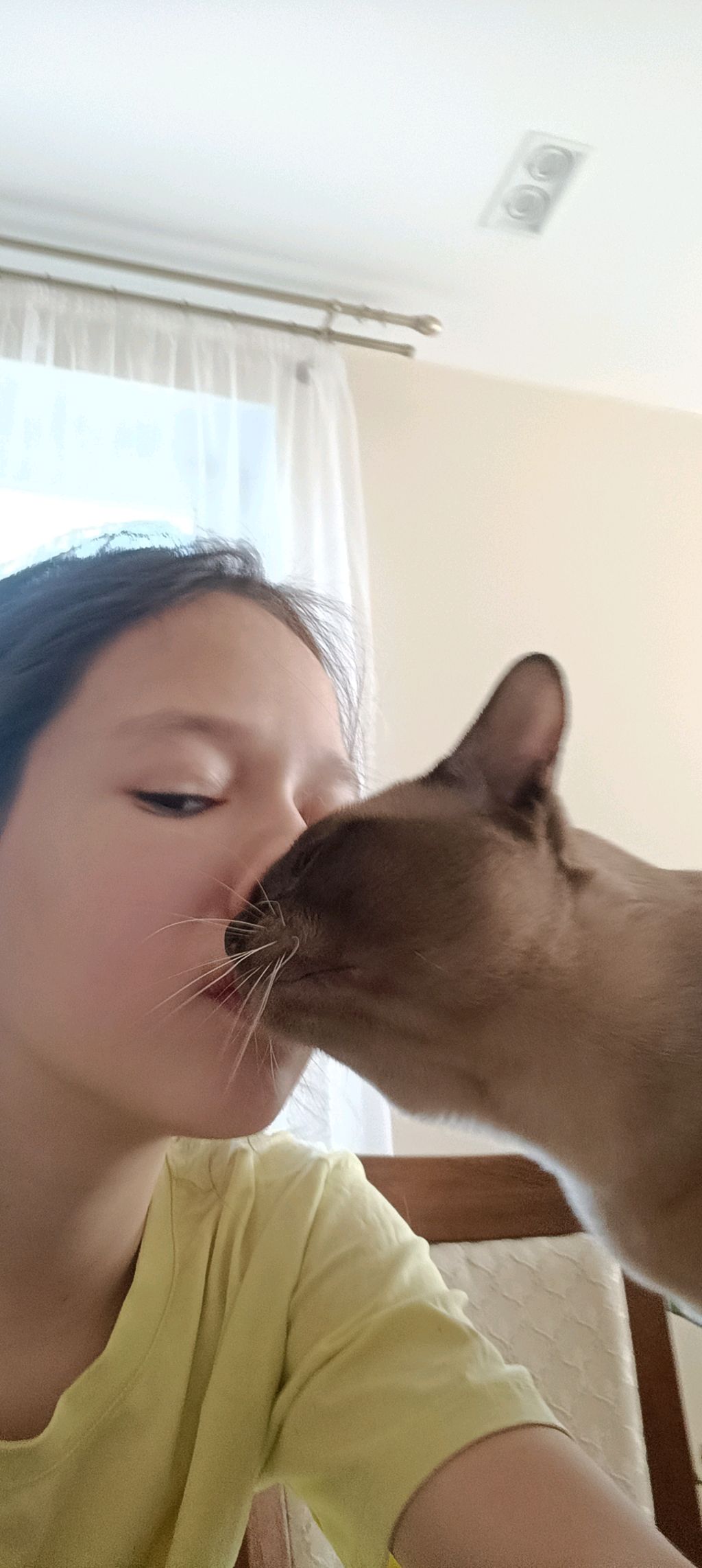 прямой эфир про Марсика, (гулянка)#Топы категооий