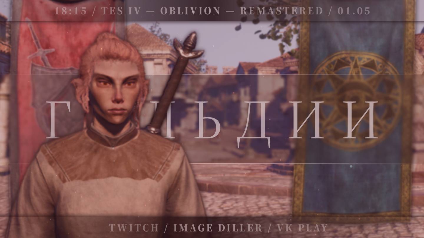 The Elder Scrolls IV: Oblivion Remastered — Смотрим гильдии — #2