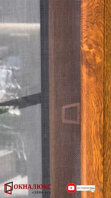 Окрашенная в цвет золотой дуб москитная сетка установленная на окно. ОКНАЛЮКС Севастополь