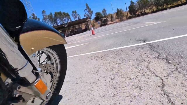 Змейка уже ничего