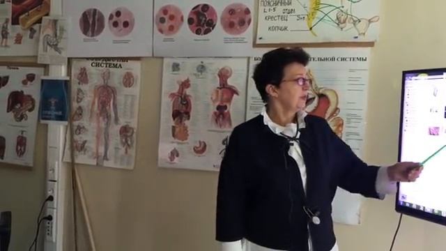 Коррекция нарушений мозгового кровотока