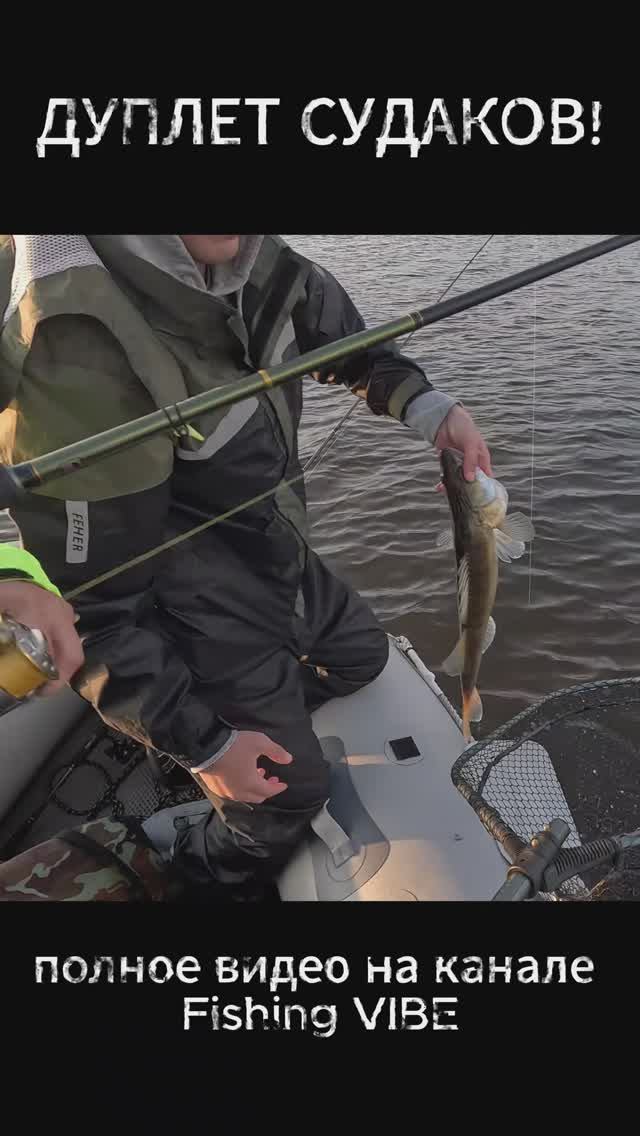 Дуплет судаков!!!
#рыбалка #fishing #shorts