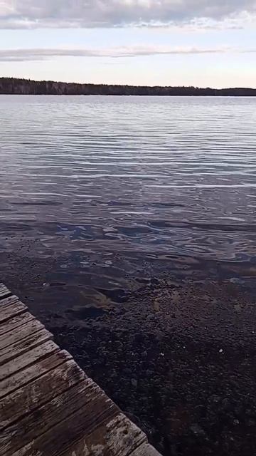 Ура лёд сошёл!