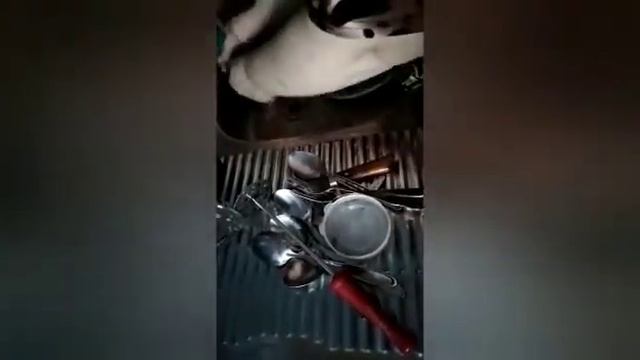 Обалденные  соленные  огурчики по рецепту  Дианы  Строгой