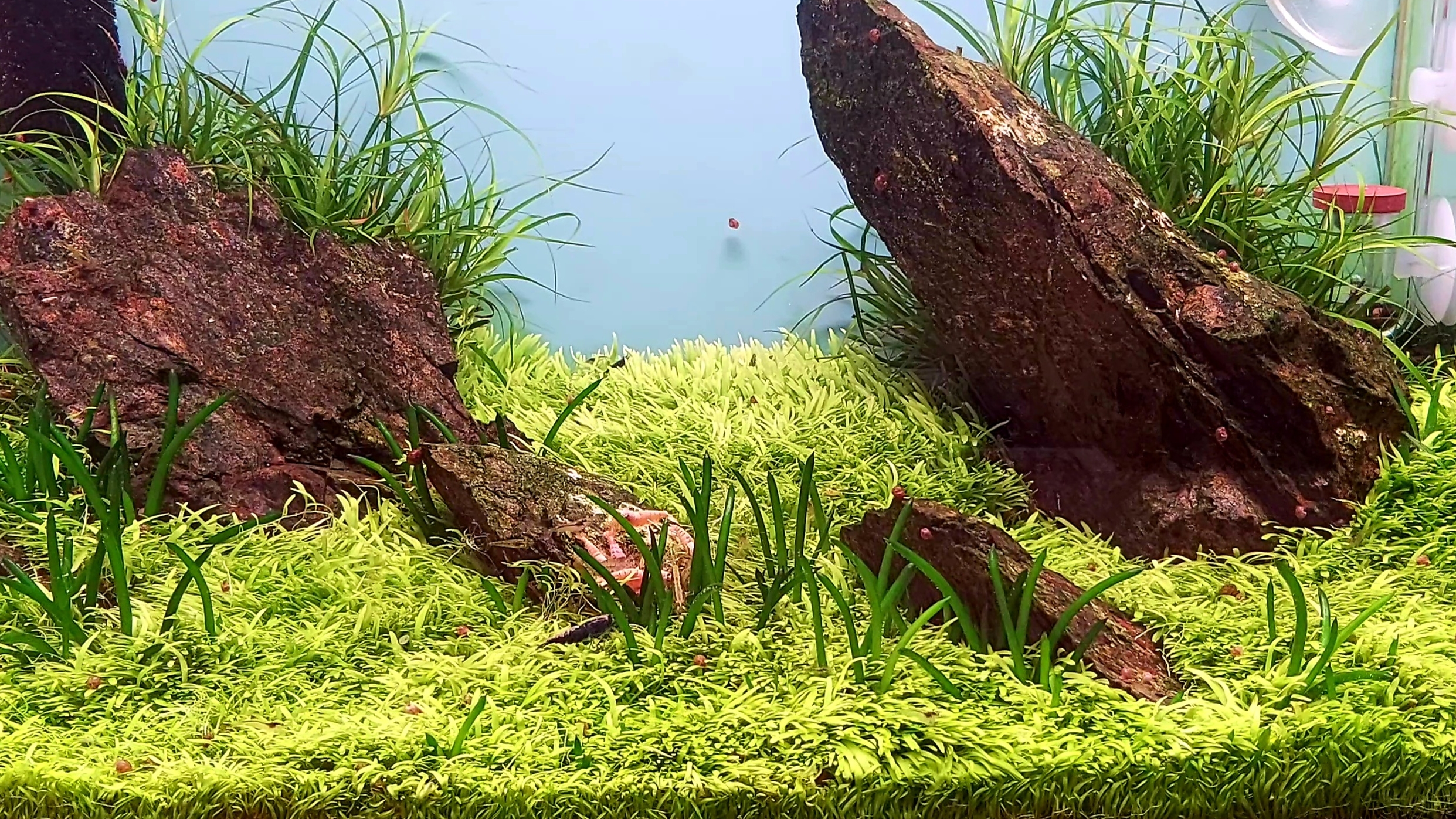 Обо всем понемногу