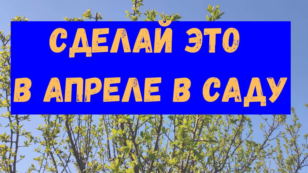 Работы в апреле в саду