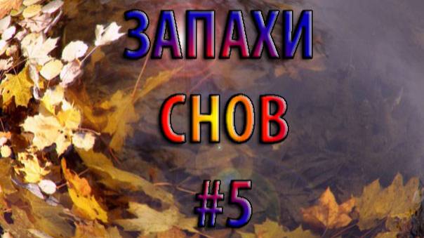 Запахи снов, 5