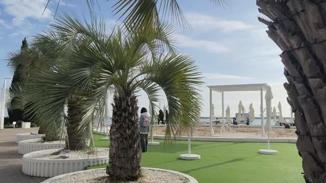 Весна в Сочи