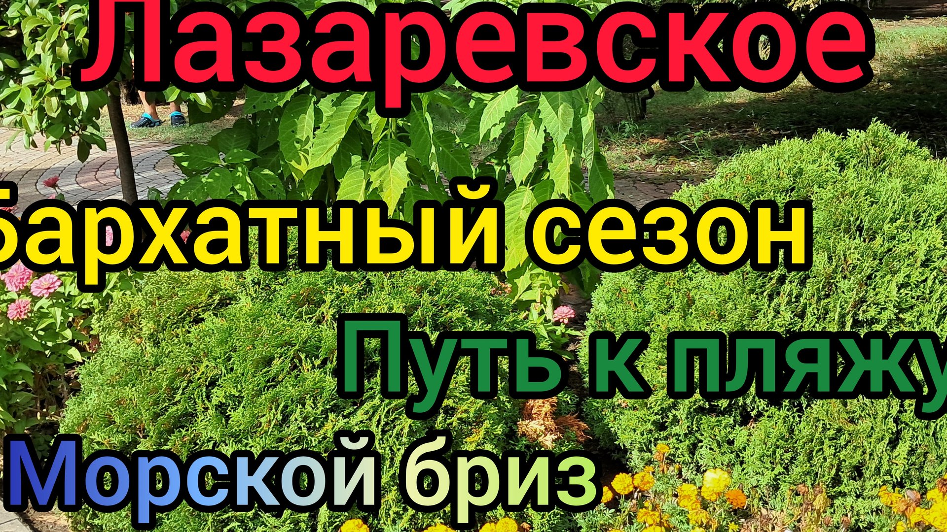 ЛАЗАРЕВСКОЕ ОТДЫХ