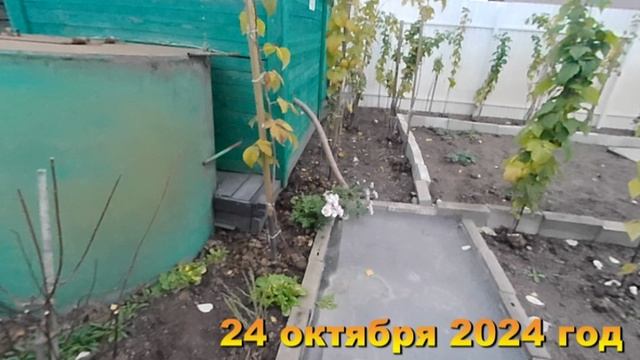 7 соток. Закрыла дачный сезон. Хроника Октябрь 2024 год
