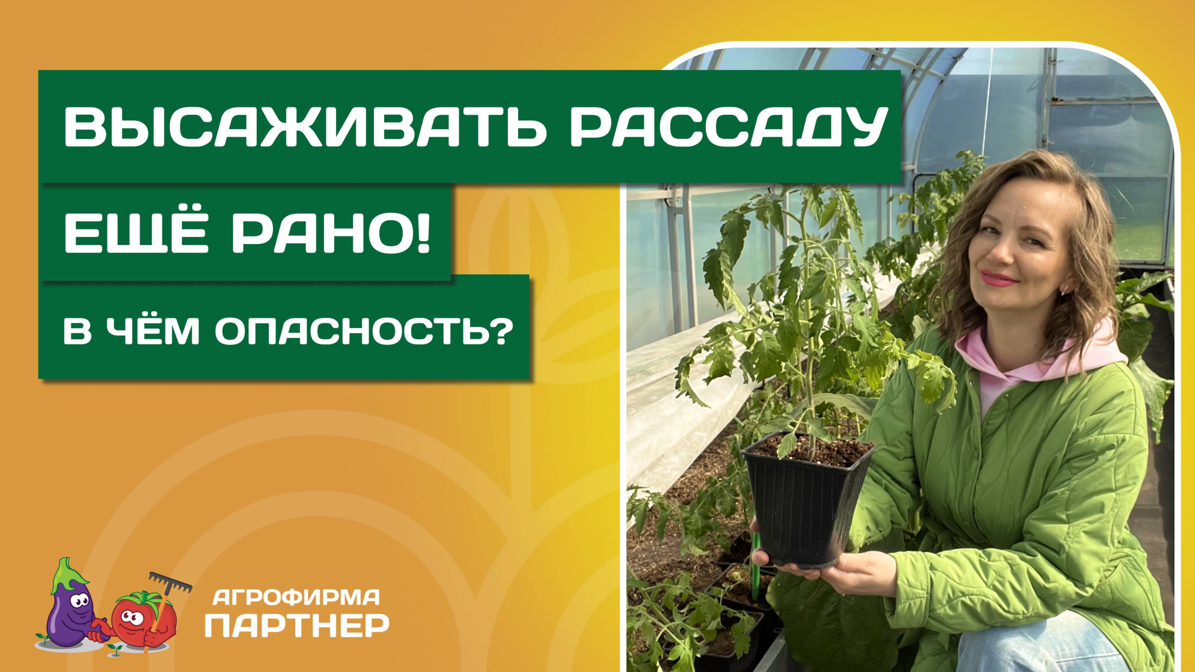 ПОЧЕМУ НЕЛЬЗЯ СПЕШИТЬ С ВЫСАДКОЙ РАССАДЫ?