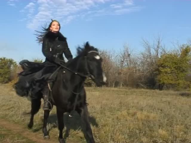 Конь мой родной!