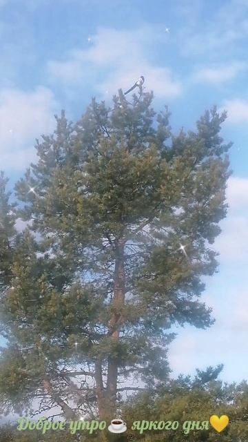 доброе утро☕