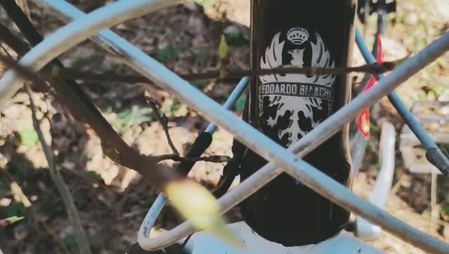 #субботняя #треня 23-03-2025