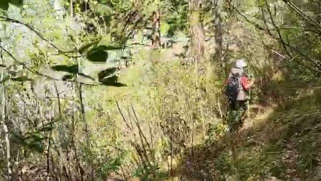 Красота от Галины 01.05.25.