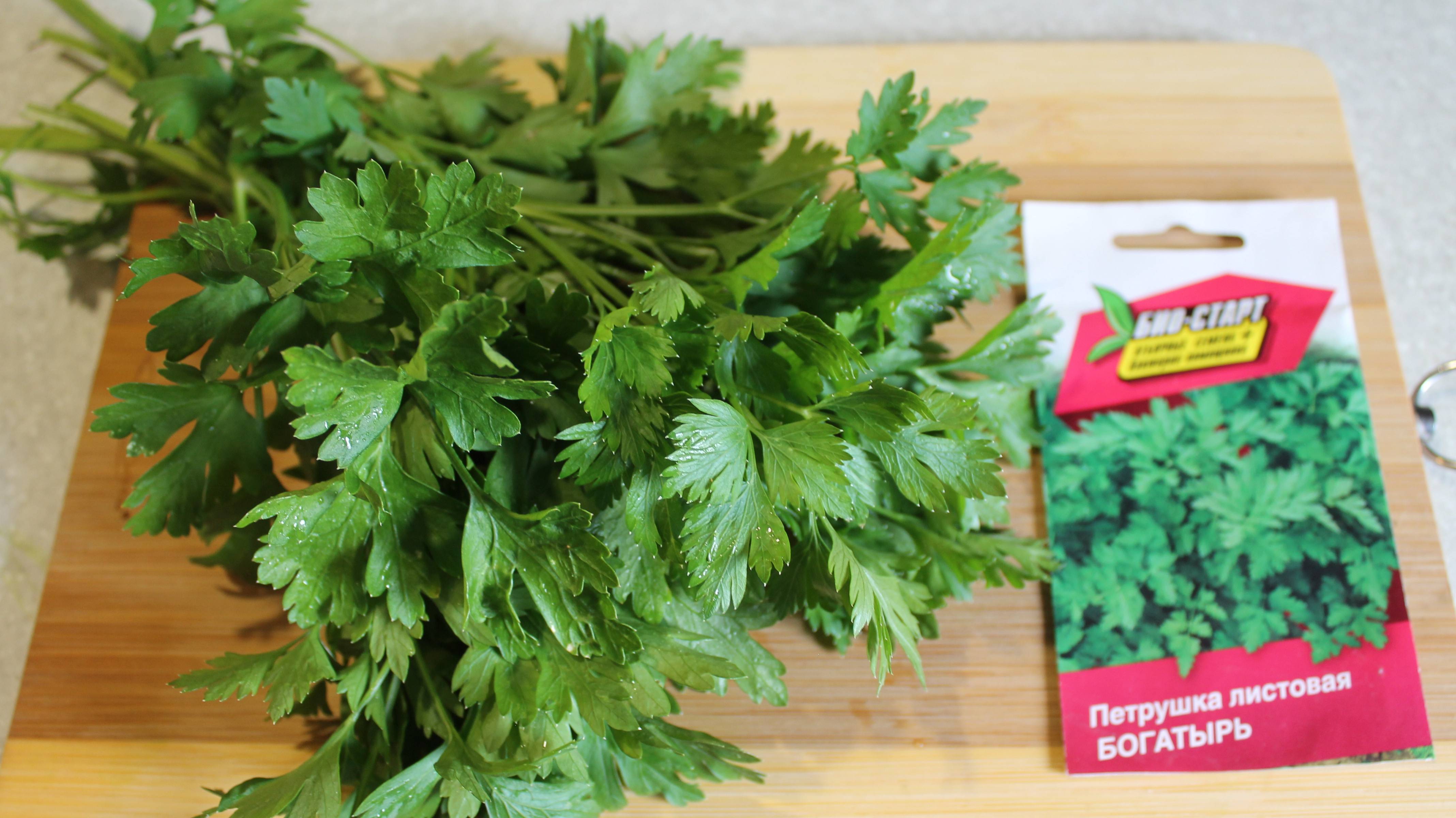 Петрушка Богатырь