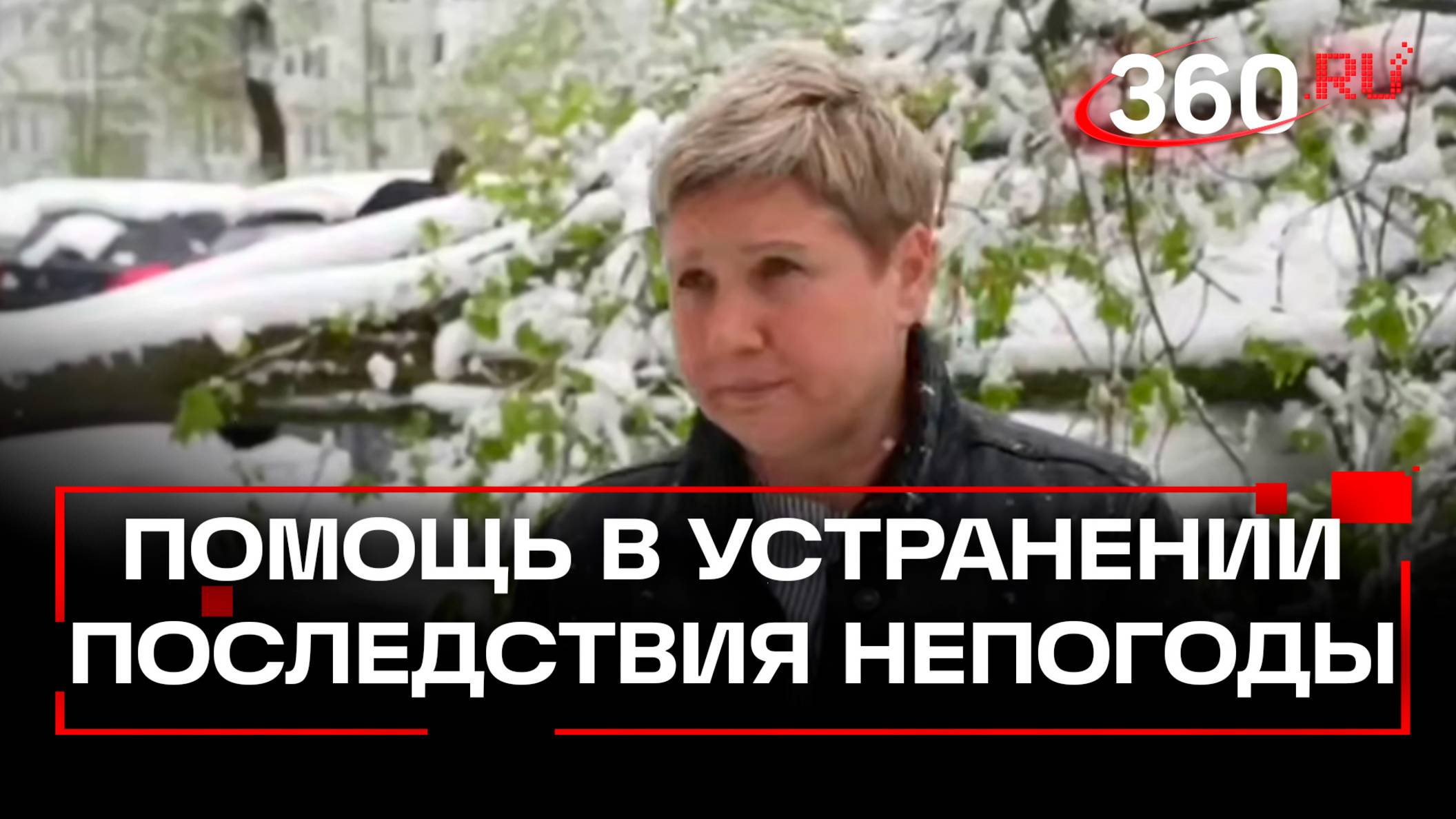 Из-за аномальной непогоды за ночь в Сергиевом-Посаде упало большое количество деревьев