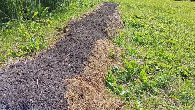 Тёплая грядка. Как сделать теплую грядку, что на ней посадить, как ухаживать за посадками