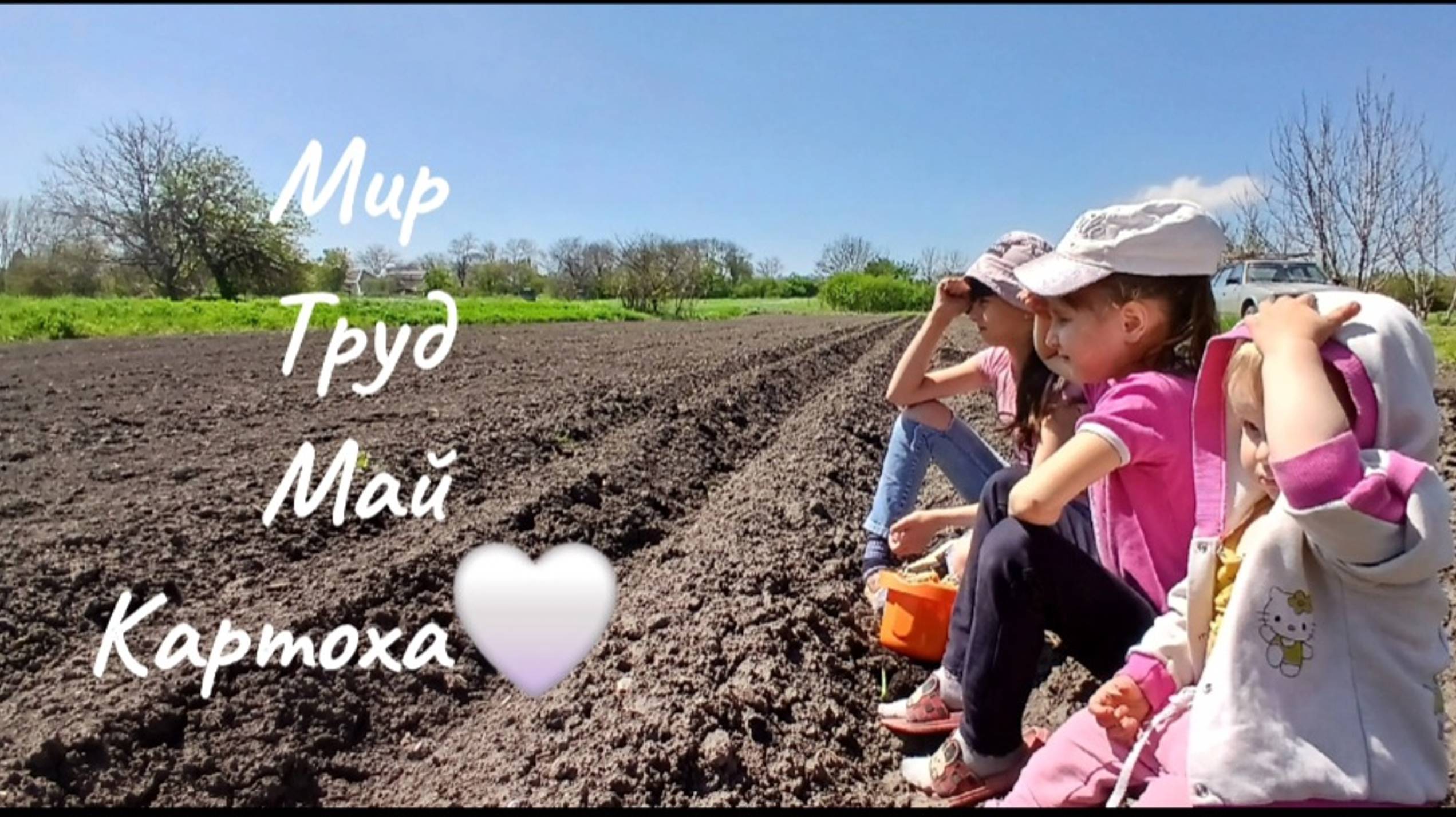 Мои помощницы❤️🤍❤️