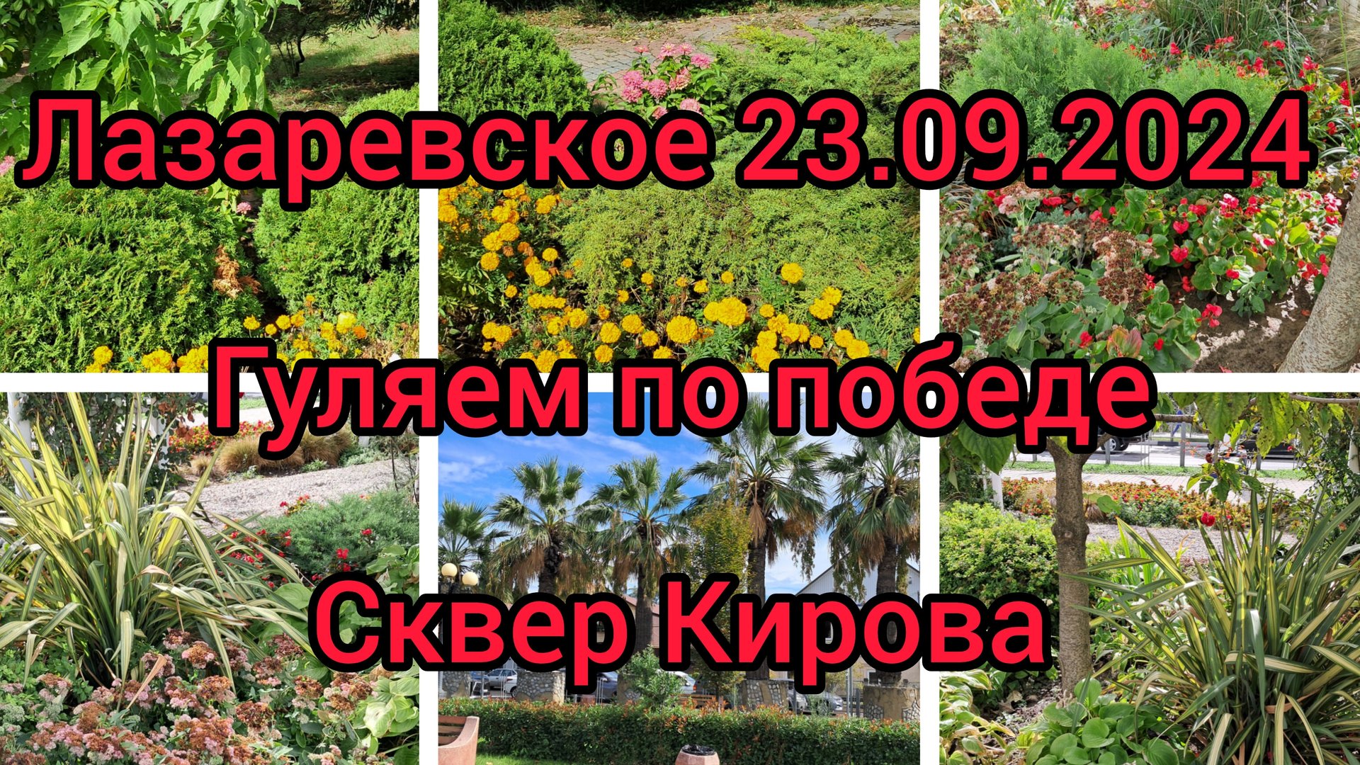 ЛАЗАРЕВСКОЕ ОТДЫХ