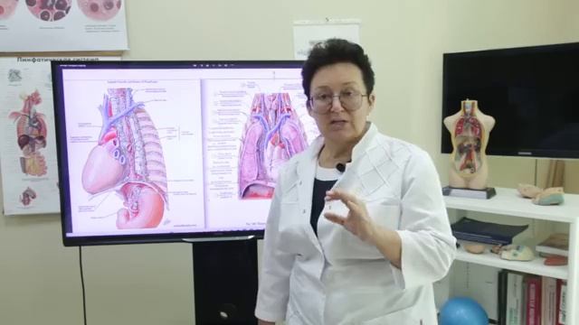 Как защитить себя от инфаркта [Шишова О.И]