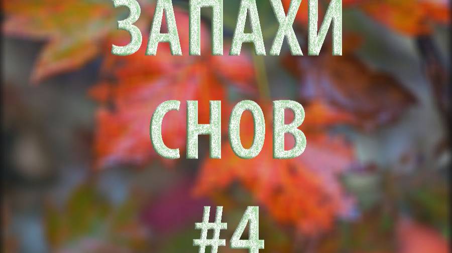 Запахи снов, 4