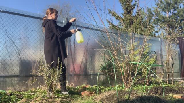 Спасаю растения после заморозков |  дачный обзор 1 мая 2025