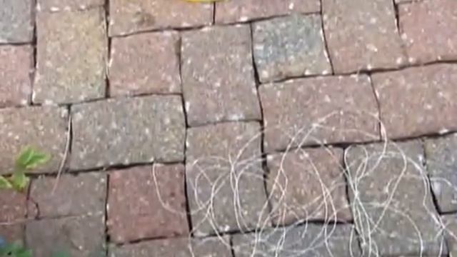 Ювелирные изделия из филигранной проволоки