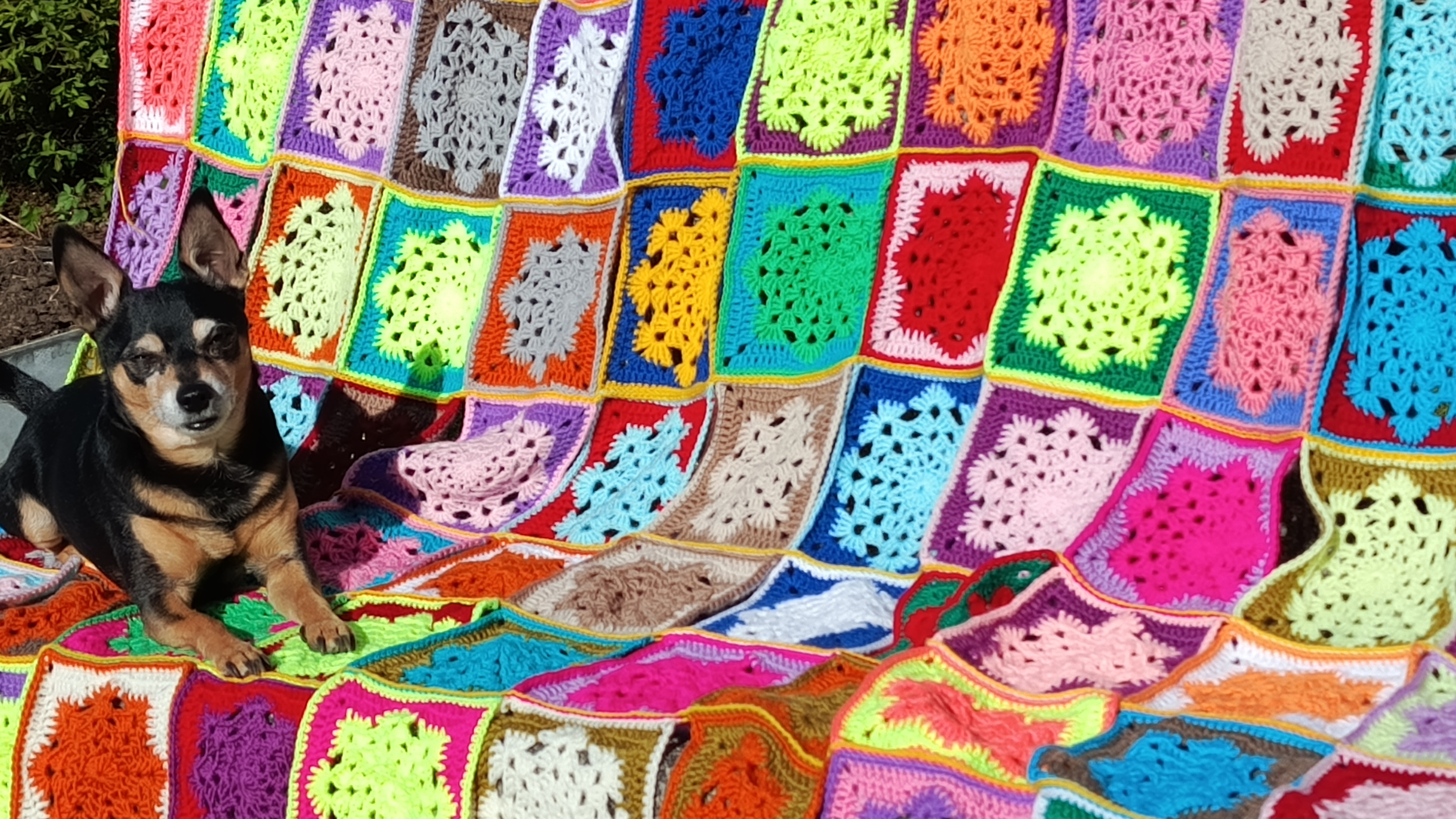 02-05-2025.Комментарий который испугал, а потом обрадовал.