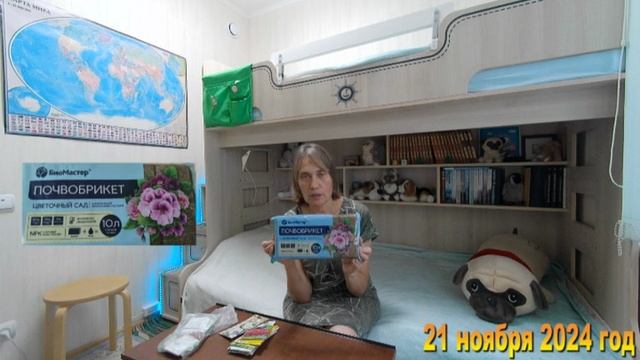 7 соток. Готовлю землю для рассады. Закупка семян. Хроника 21 ноября 2024 год-