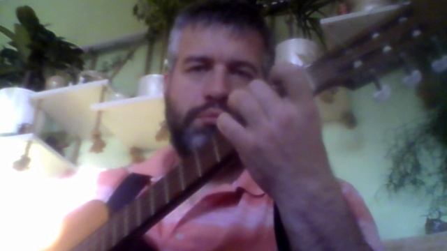 Роман, гитара, 2016 год. Памяти Медведева А.Ф.