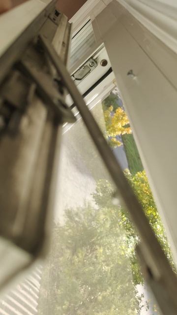 окно VID_20241013_122000