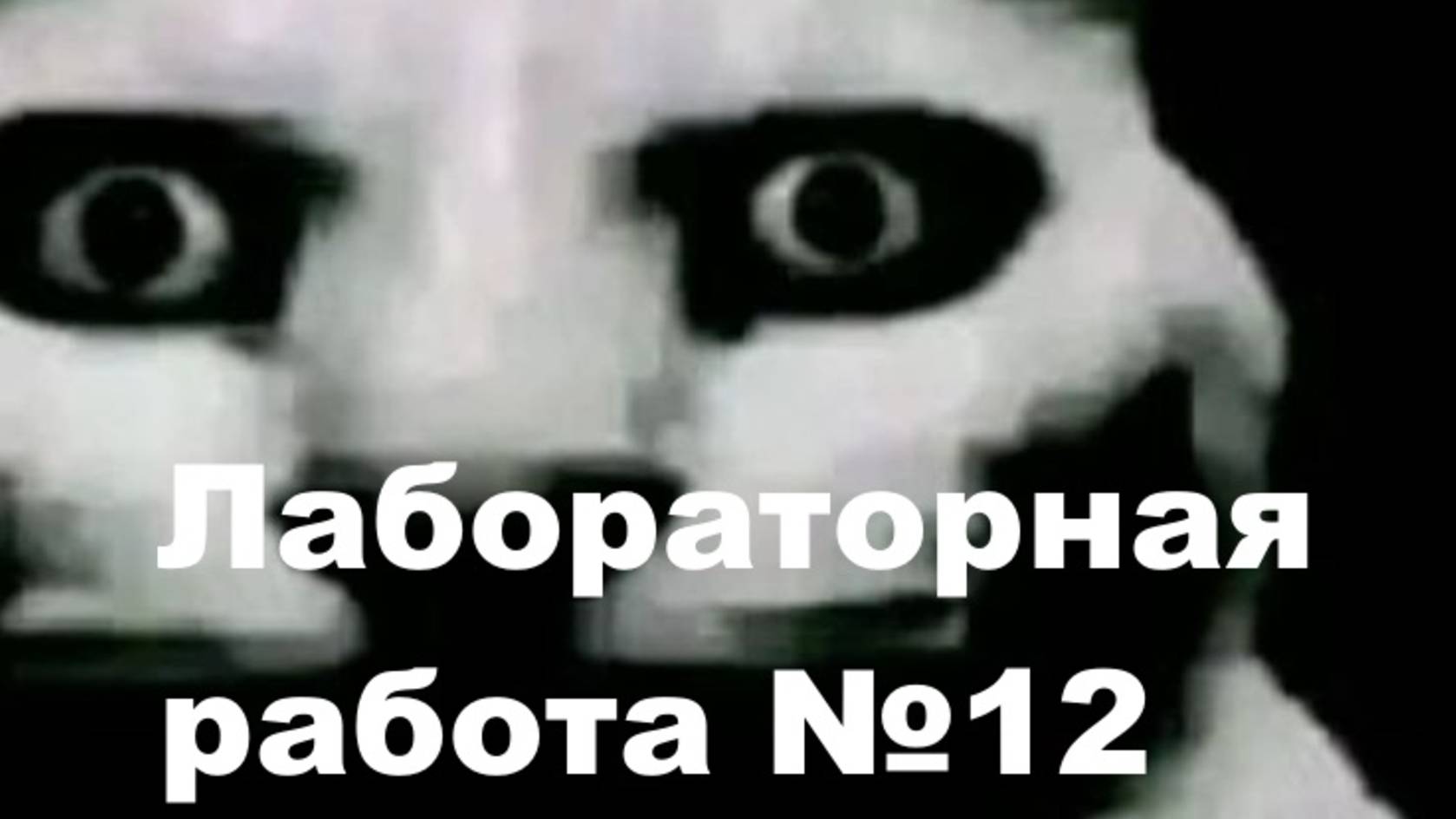 Лабораторная работа №12