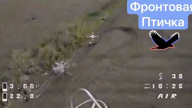 СВО. Уничтожение ВСУ FPV дронами на Запорожском направлении