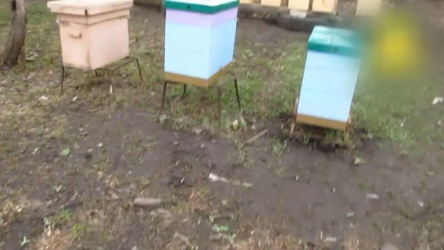 Подставки под улья. Моё пчеловодство