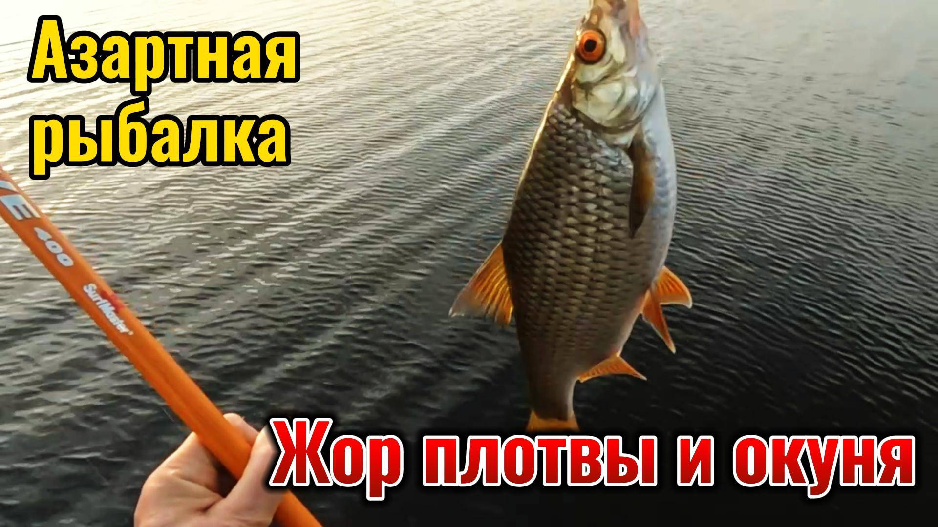 Отлично половила в конце апреля. Нарвалась на весенний жор плотвы. Красивые виды весенней природы.