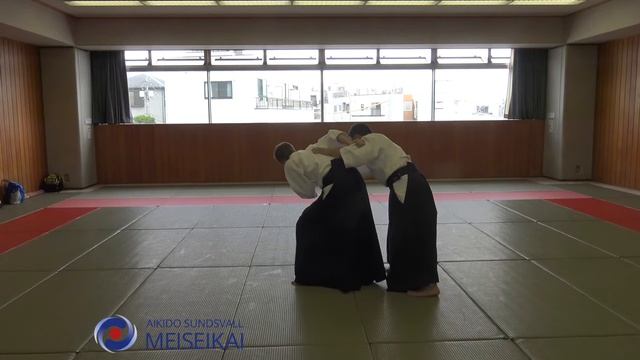 13 Aikido Katadorimenuchi Ikkyo Ura 2 Shishiya Sensei Tokyo 2015