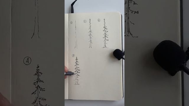 Как нарисовать ель карандашом
