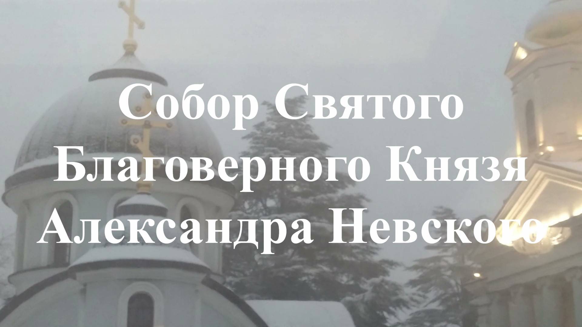 Собор Святого Благоверного Князя Александра Невского
