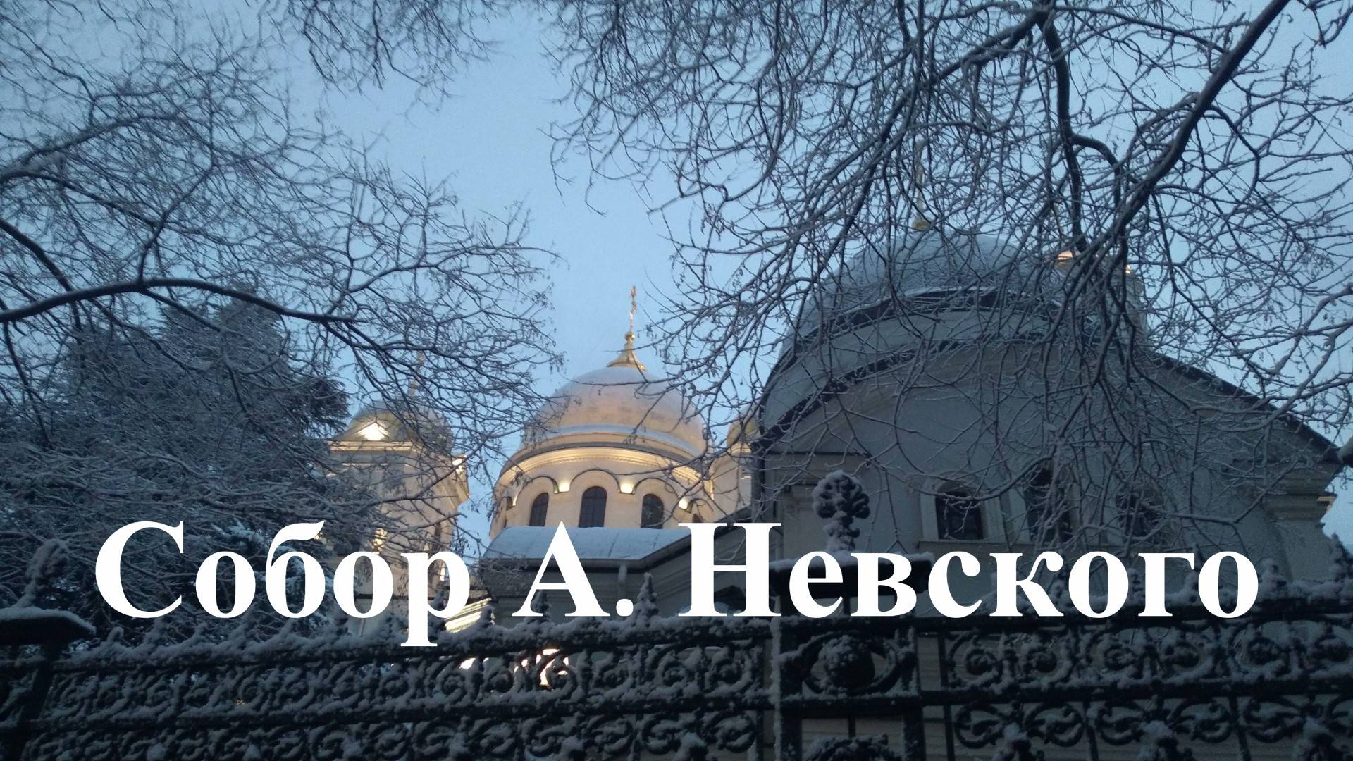 Собор А. Невского